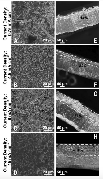 battery dendrite